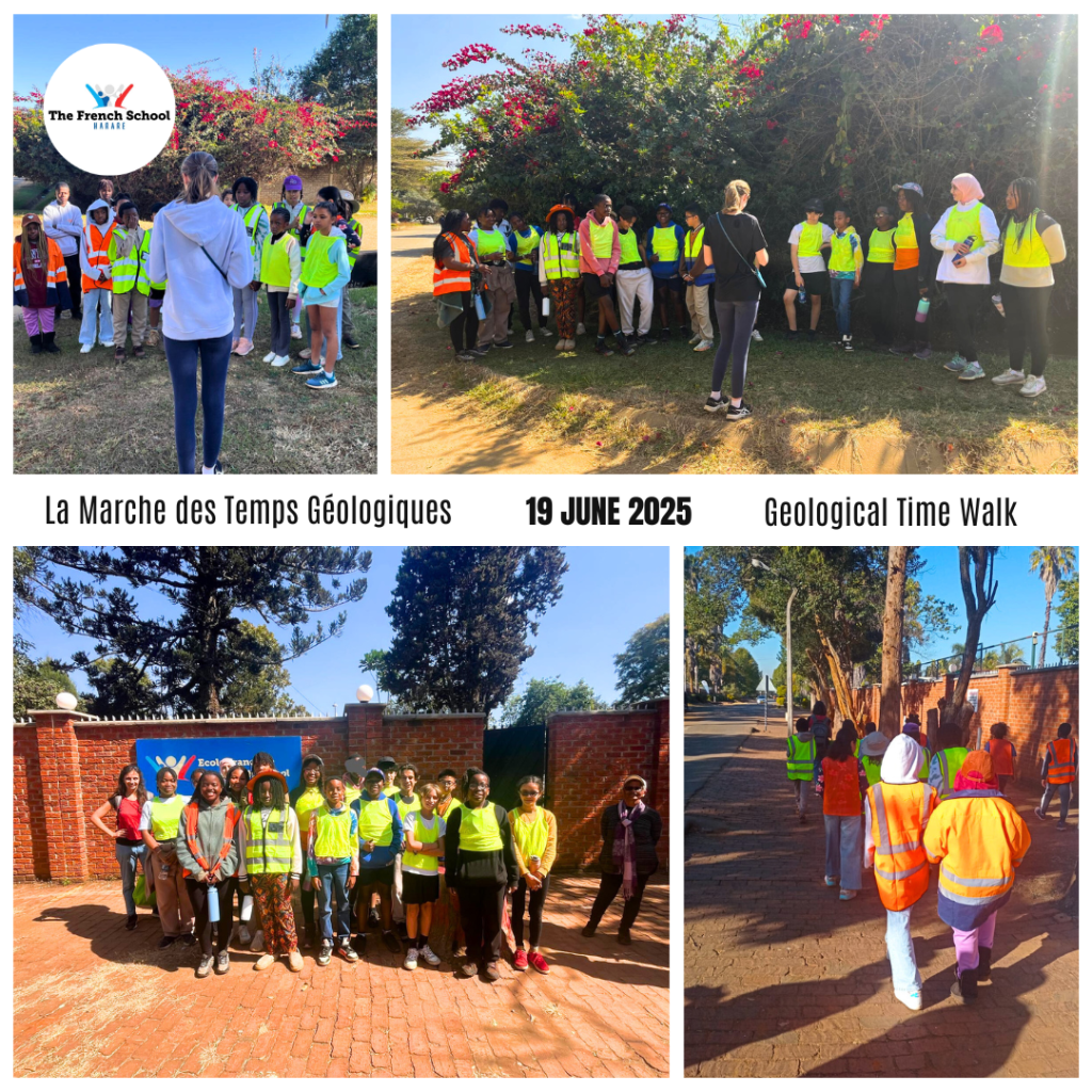 Journey Through Time: A Geological Walk - The French International ...